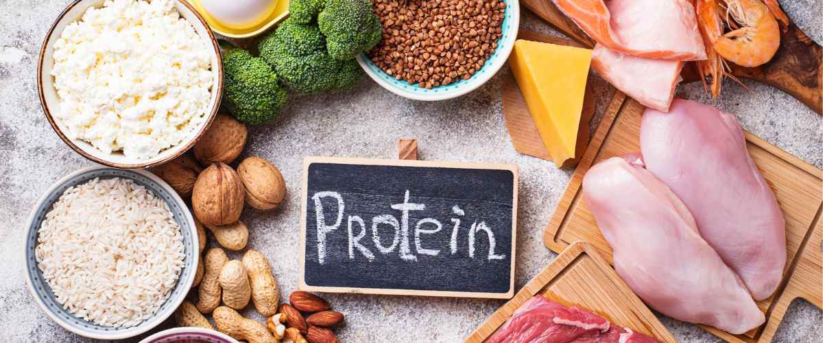 Plant Protein vs. Animal Protein: Which Is Healthier for You? – Vegan ...